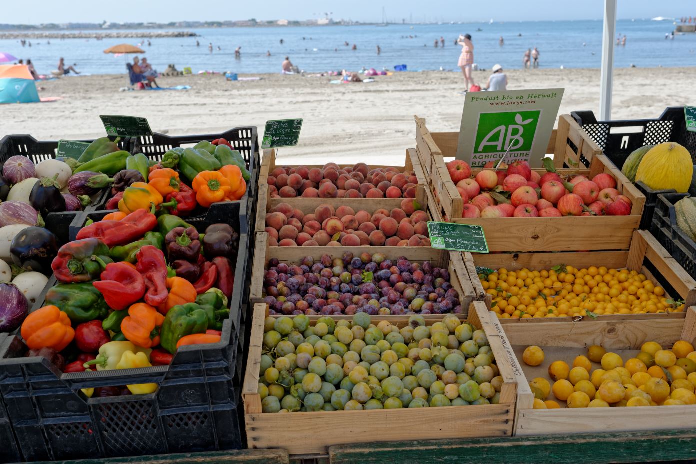 Les Marchés au centre ville